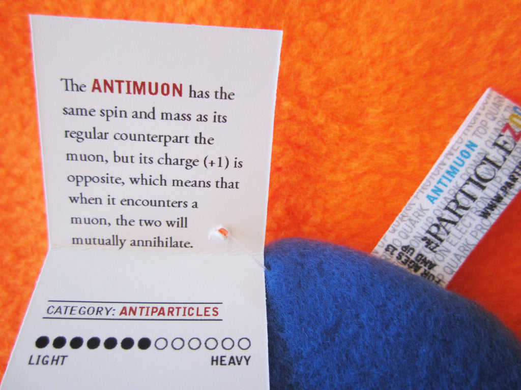 Antimuon | The Particle Zoo