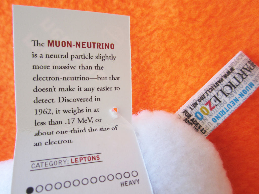 Muon-neutrino | The Particle Zoo