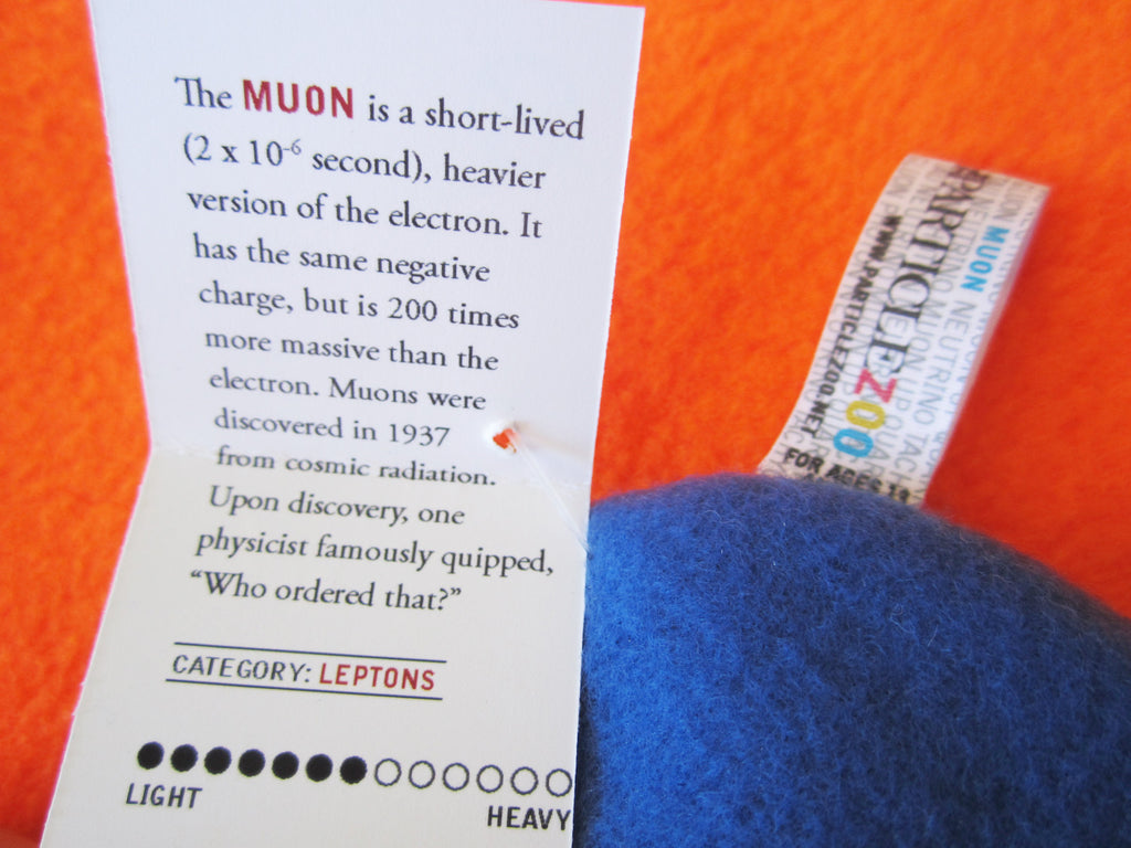 Muon | The Particle Zoo