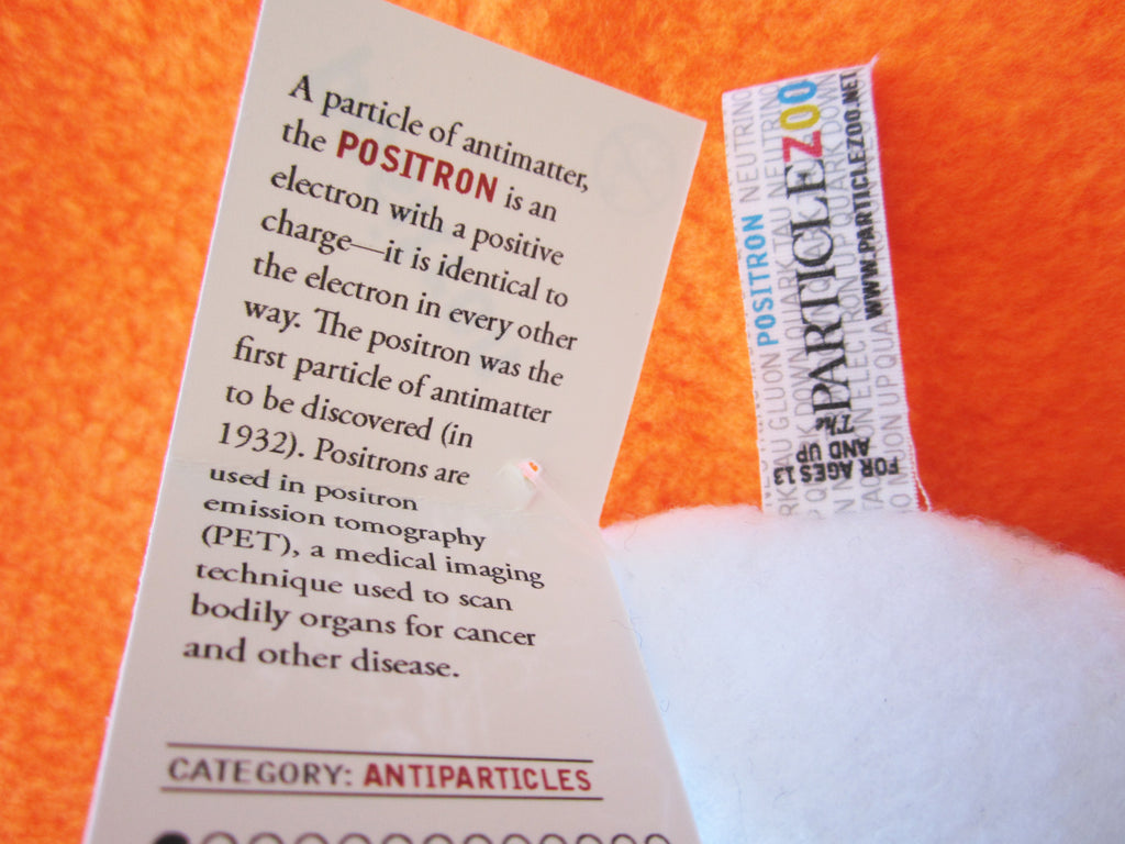Positron | The Particle Zoo